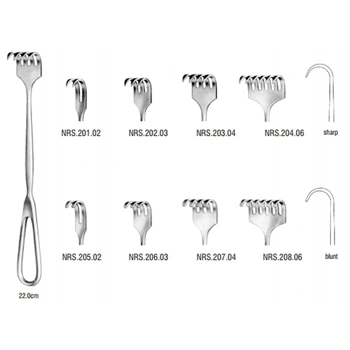 sharp – Norfolk International